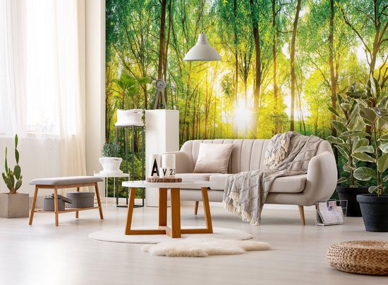 Fotobehangkoning - Fotobehang - Vliesbehang - Behang - Bos met ...