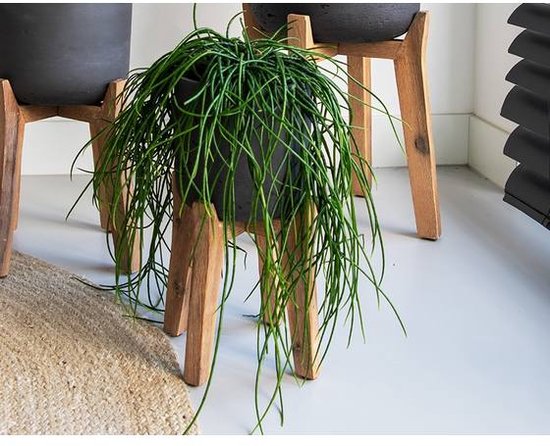 Ronde bloempot op houten vierpoot staander van Naturn Living ...