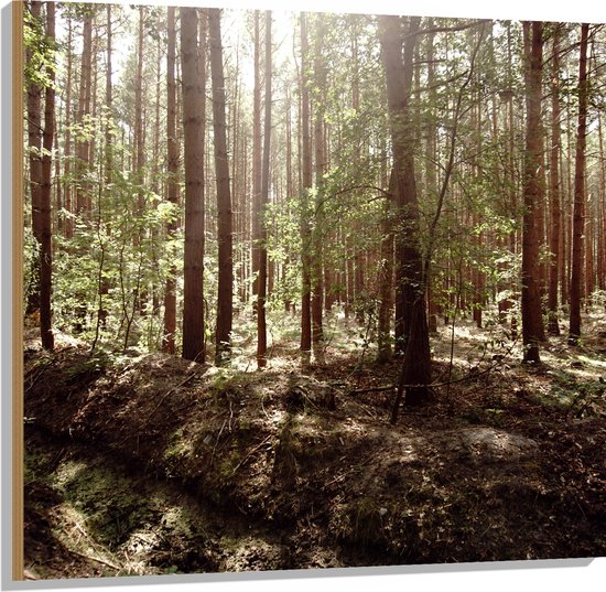 WallClassics - Hout - Bomen in het Bos met Groene Bladeren - 100x100 cm ...