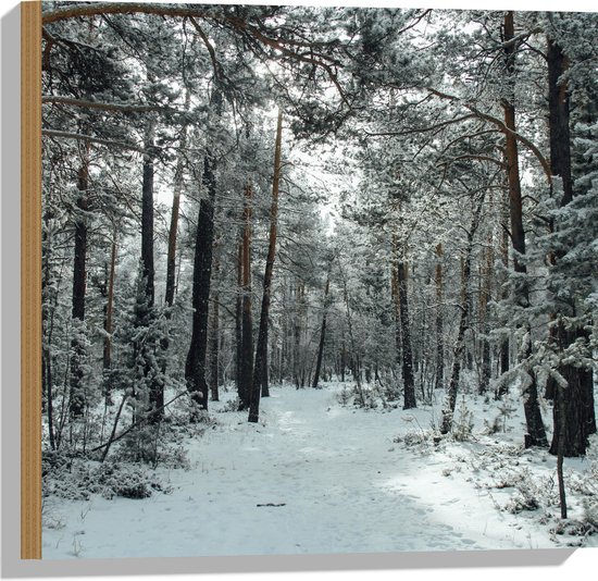 WallClassics - Hout - Winter Bos - 50x50 cm - 12 mm dik - Foto op Hout ...