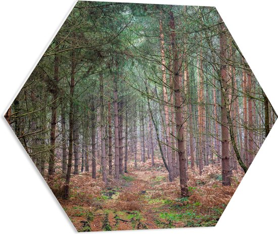 WallClassics - PVC Schuimplaat Hexagon - Fel Groene Takken aan Bomen ...
