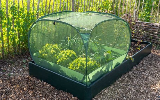 Fruit & Groente Bescherming - Pop-Up Tent - 100cm x 100cm x 75cm (LxBxH ...