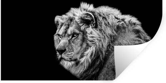 Muurstickers - Sticker Folie - Leeuw - Portret - Wilde dieren - Zwart - Wit - 40x20 cm... | bol