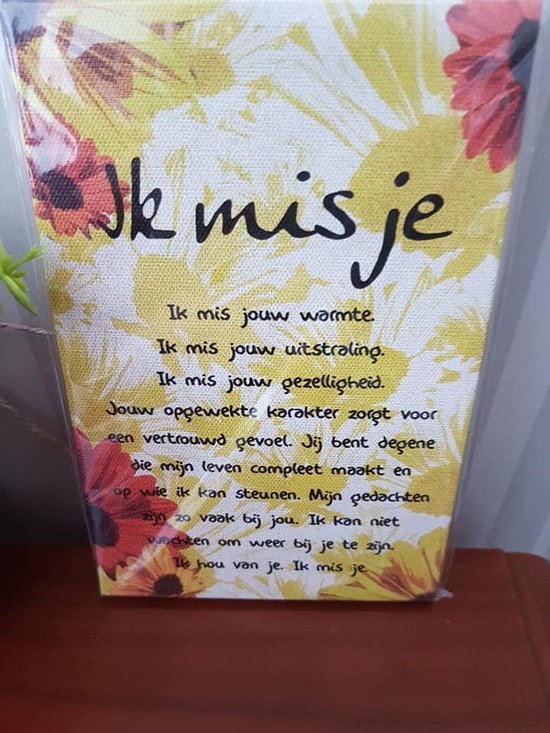 Ik mis je, Tekst canvas | bol