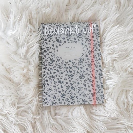Cadeau liefste juf meester set van 2 notitieboeken a6 met tekst ...
