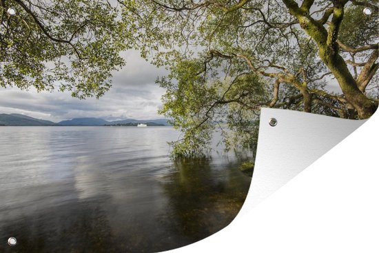 Tuinposter - Tuindoek - Tuinposters buiten - Grote overhangende boom in ...