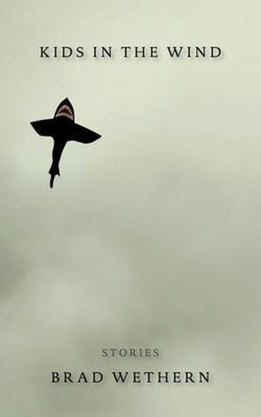Kids in the Wind, Brad Wethern | 9781597094191 | Boeken | bol.com