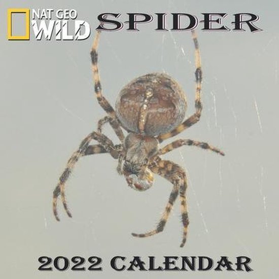 SPIDER Calendar 2022 | bol.com