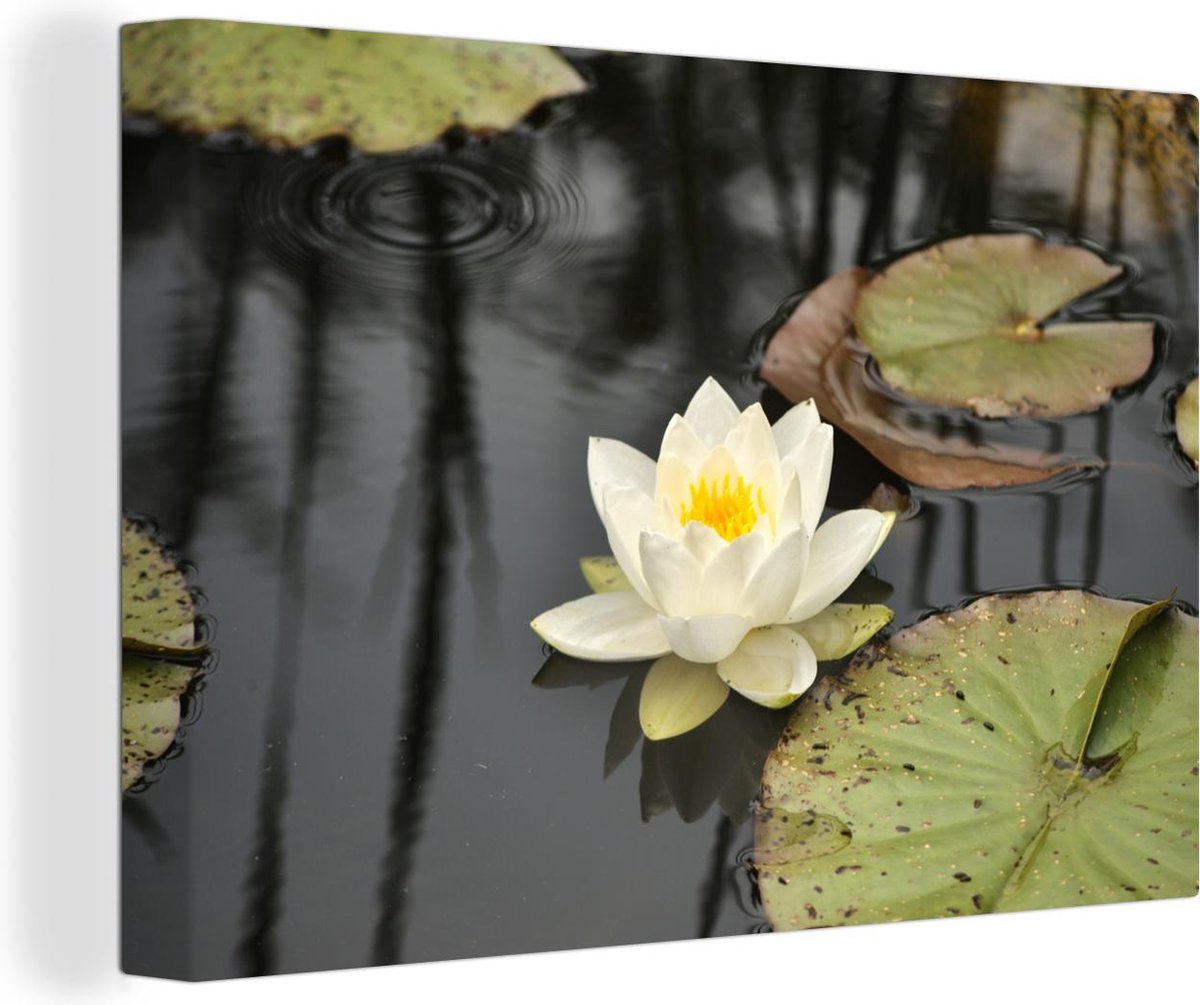 Canvas Schilderij Witte lotus in het water - 90x60 cm - Wanddecoratie | bol