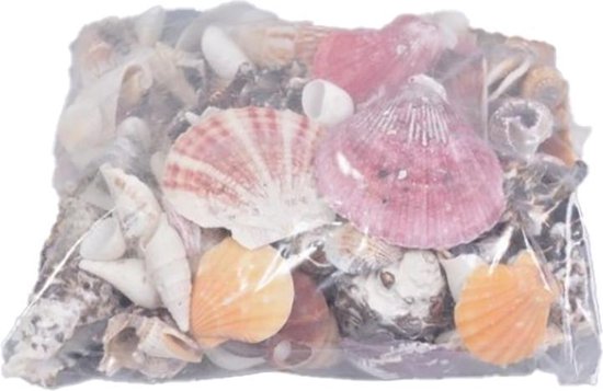 Decoratie Schelpen | Zeeschelpen | Schelpen Mix Groot | 1 Kg | | bol.com