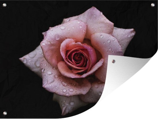 Affiche de jardin - Toile de jardin - Posters de jardin extérieur - Une ...