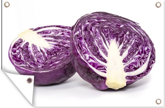 Un chou rouge coupé en deux sur fond blanc Affiche de jardin 120x80 cm ...