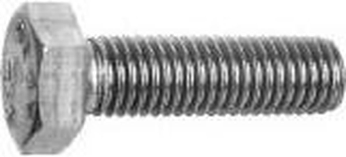 Bofix Zeskant Bout M6 X 40 Mm Rvs 25 Stuks (218640) | bol.com