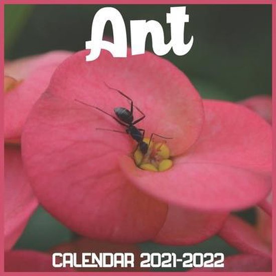 Ant Calendar 2021-2022 | bol.com