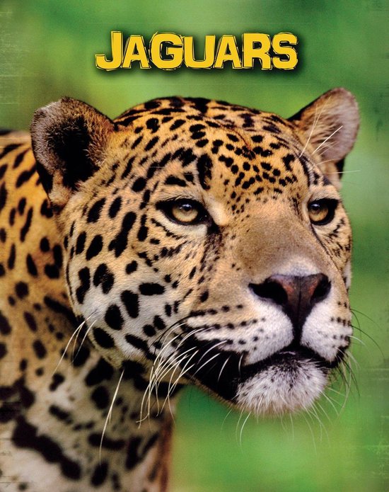 Living in the Wild: Big Cats - Jaguars (ebook), Charlotte Guillain ...