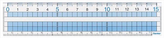 Raymay Bullet Journal Linaal 15cm | bol