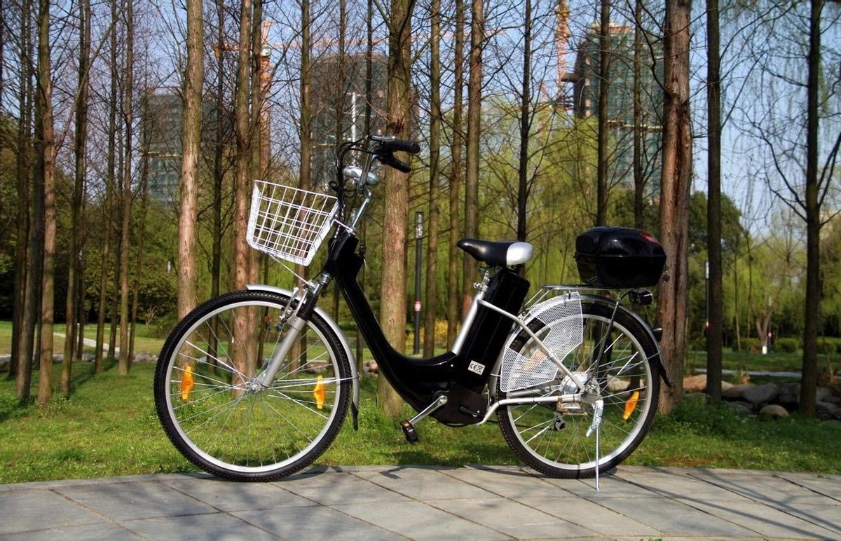 Elektrische fiets 250W / 36V e-bike 26 "inch pedelec fiets met motor ...