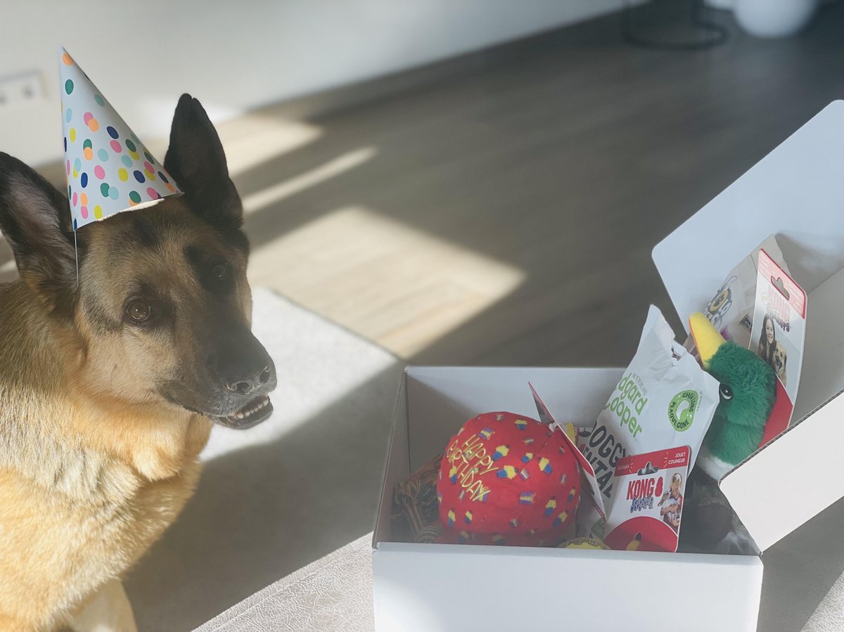 Verjaardagsbox – Hond - Verassingspakket - Cadeau voor hond ...