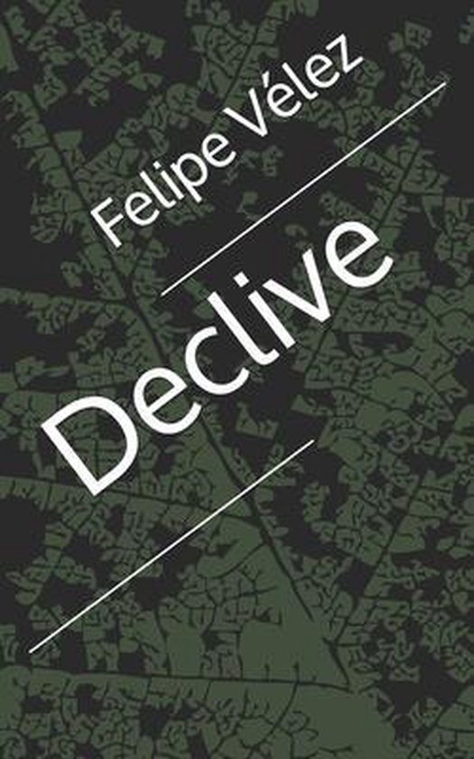 Declive, Luis Felipe Velez Zapata | 9781078381291 | Boeken | bol.com