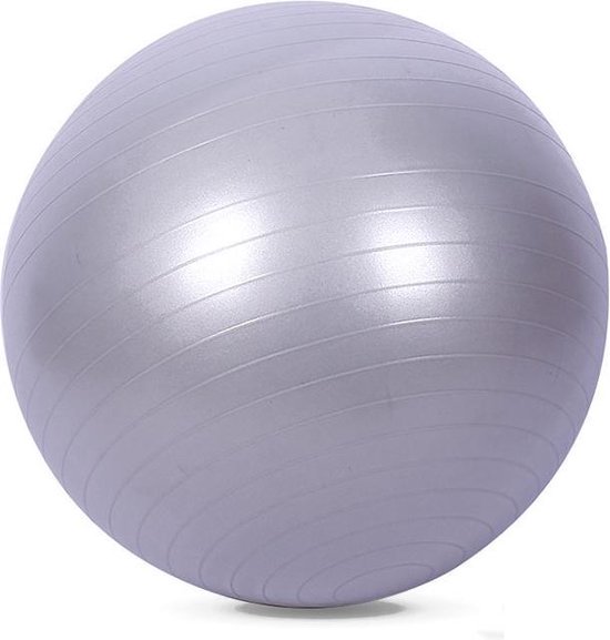 Fitness bal - Yoga bal - Gym bal - Pilates Bal - 75 cm - incl. Pomp ...