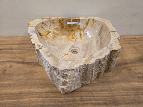 Waskom van versteend hout -50x45x16cm - FL23555 | bol