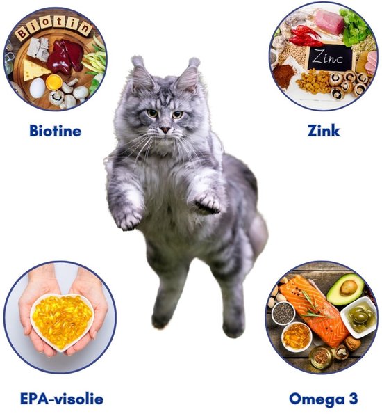 Skin & Coat Kat - 100% natuurlijk voedingsupplement voor katten - 30 ...