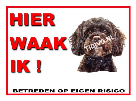Cavapoo 3 Bol 1959