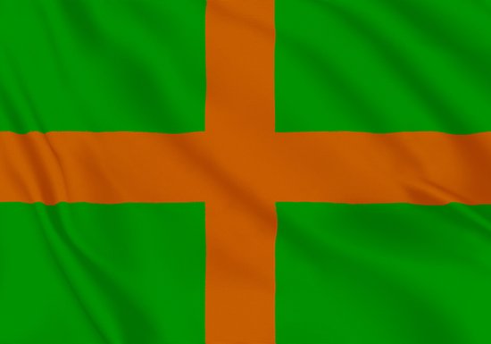 Vlag Vierdaagse / 4daagse Nijmegen 300x450 cm | bol