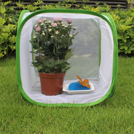 Vlinderkweek Kooi - Opvouwbaar & Ademend - Polyester Insectenhuis ...