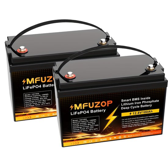 Lithium Accu – LiFePO4 Batterij – 12V Accu – 100Ah Accu ...