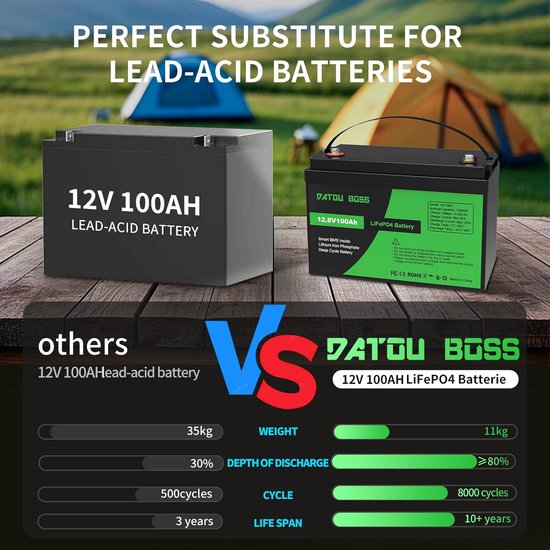 Lithium LifePO4 Accu 12V 50Ah met 50A BMS voor Boot, Campers, en Off ...
