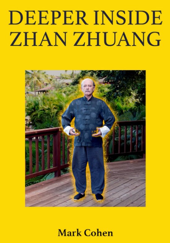 Guide Approfondi du Zhan Zhuang Qigong : Subconscient, Espace Vide et ...