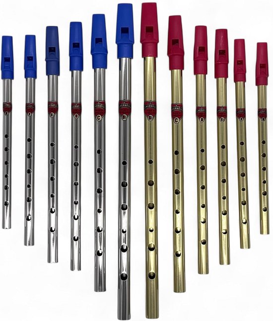 Ierse Tin Whistle Fluit voor Folk Muziek - Nikkel Messing Instrument ...