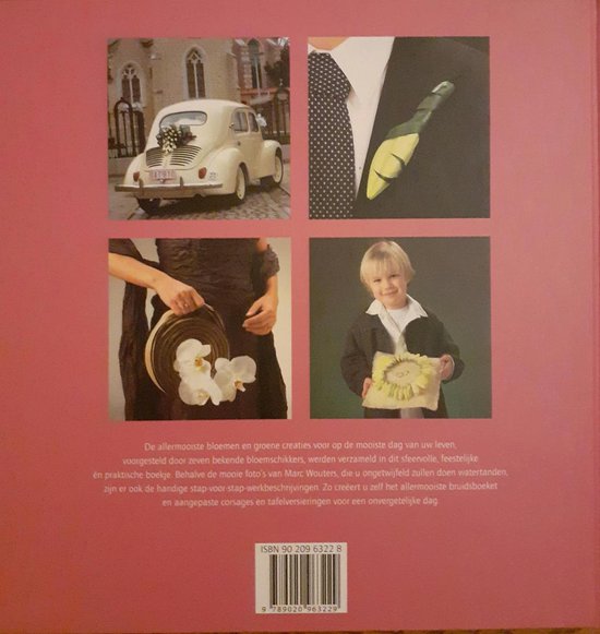 De Dag Van Je Leven, Annemie Willemse (tekst) | 9789020963229 | Boeken ...