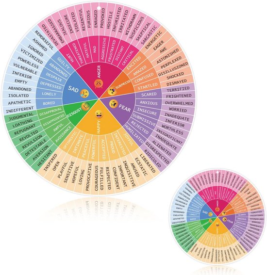 2 Stuks Emotiewielen van Acryl voor Mentale Gezondheid - 28 cm en 15 cm ...