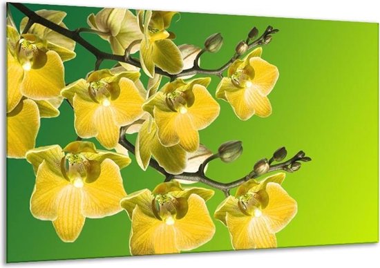 Glasschilderij Orchidee - Geel, Groen, Wit - 120x70cm 1Luik - Foto Op ...