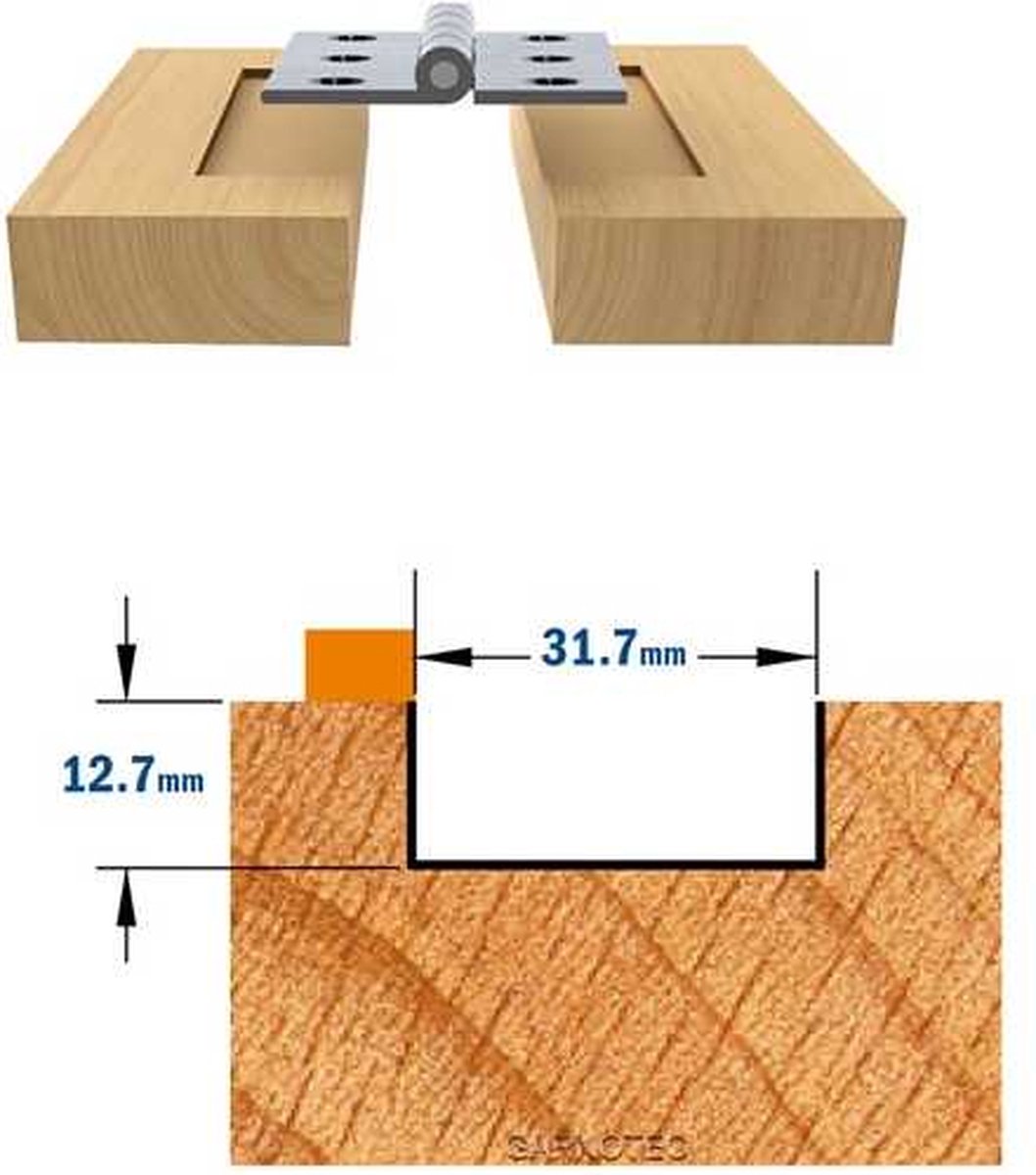 CMT - Fraise à feuillure et à bordure avec têtes de coupe obliques ...