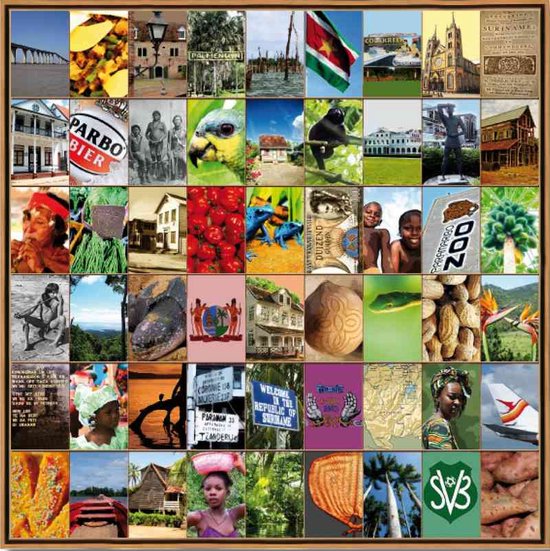 Naomi Art Originele Schilderijen Schilderij Suriname Canvas Collage ...