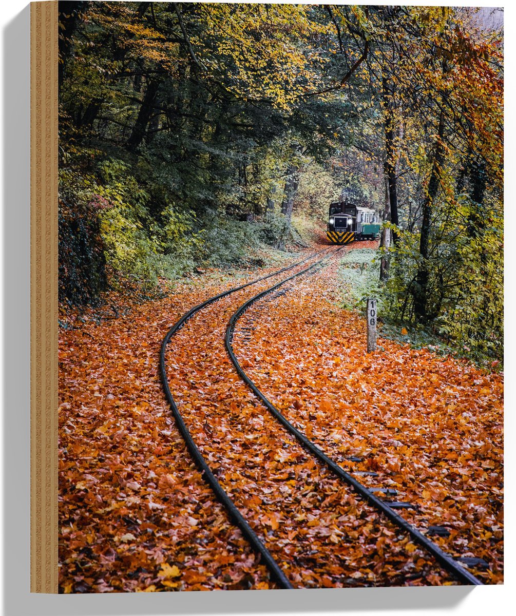 Hout - Treinspoor met Trein door Struiken in Herfstkleurig Bos - 30x40 ...