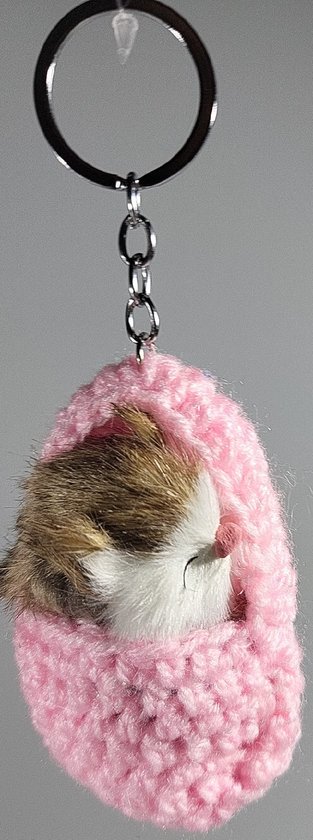 Een schattig en lief poesje (10cm x 5cm) slapend in een pantoffel. Een ...