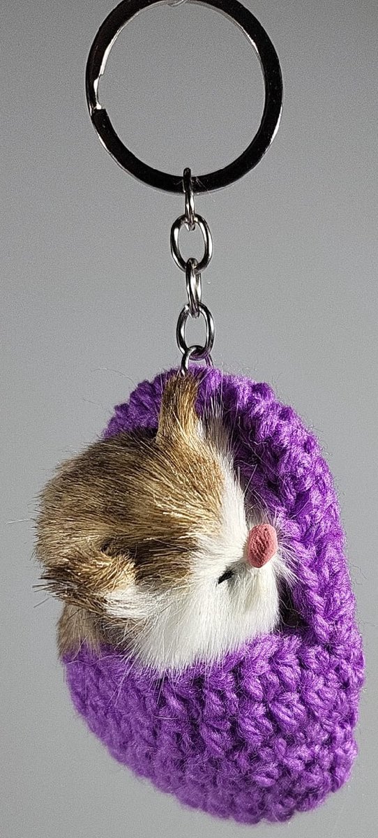 Een schattig en lief poesje (10cm x 5cm) slapend in een pantoffel. Een ...