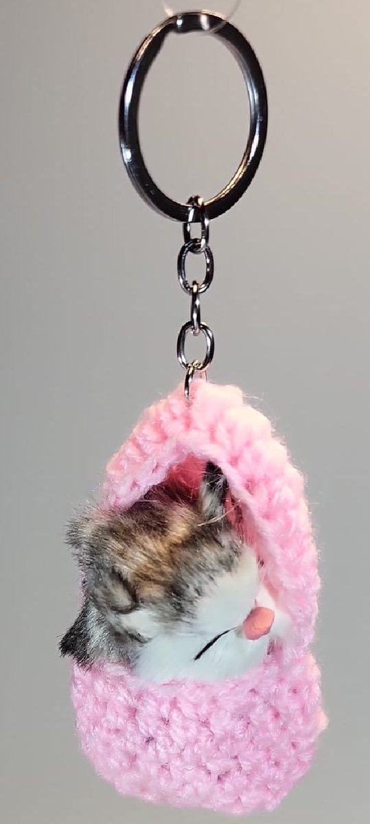 Een schattig en lief poesje (10cm x 5cm) slapend in een pantoffel. Een ...