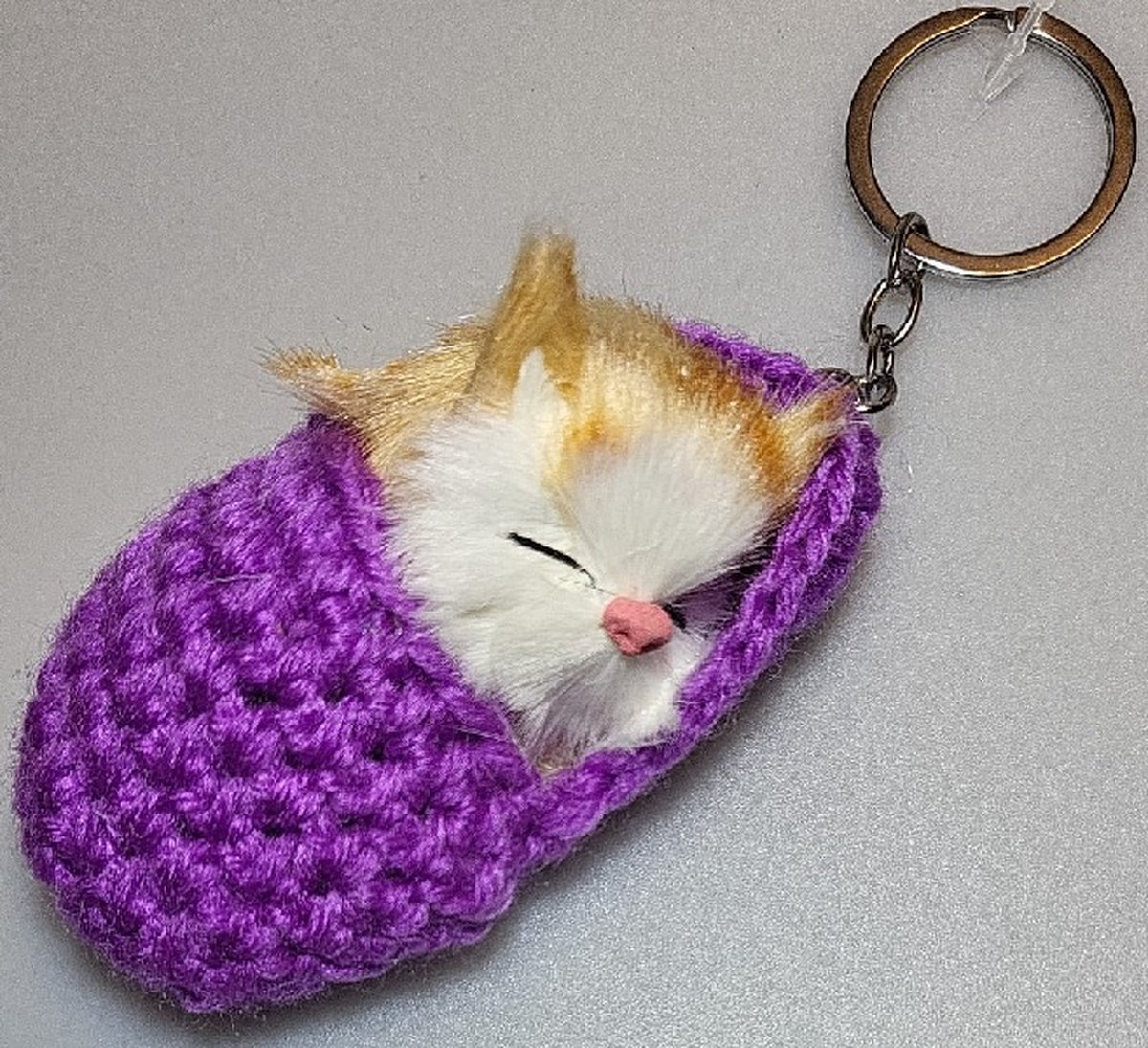 Een schattig en lief poesje (10cm x 5cm) slapend in een pantoffel. Een ...