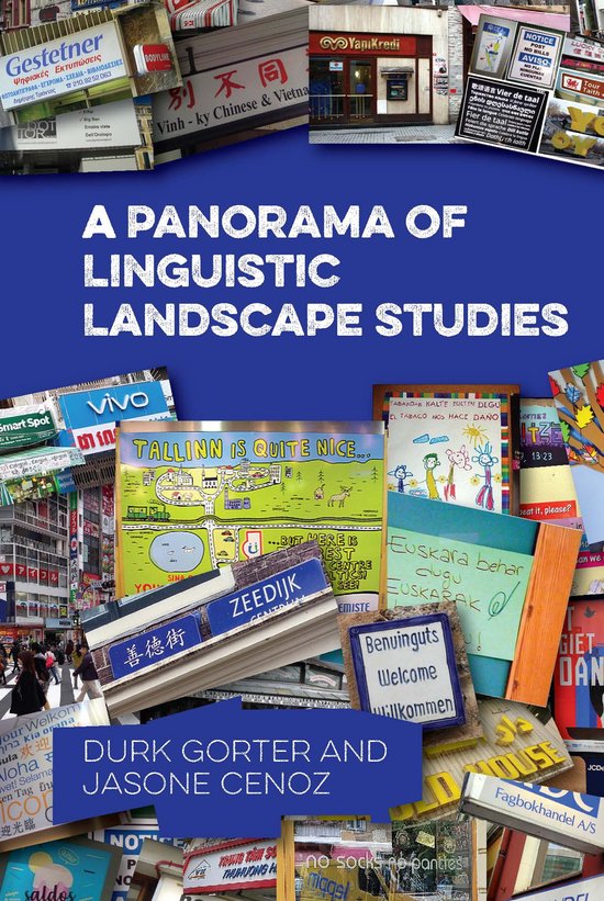 A Panorama of Linguistic Landscape Studies, Durk Gorter | 9781800417144 ...