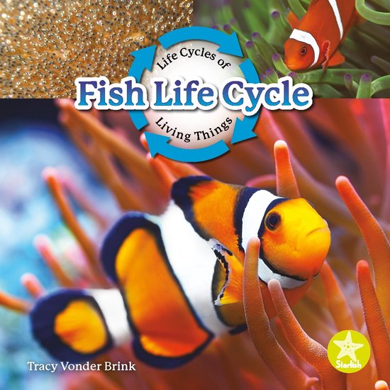 Life Cycles of Living Things - Fish Life Cycle (ebook), Tracy Vonder ...