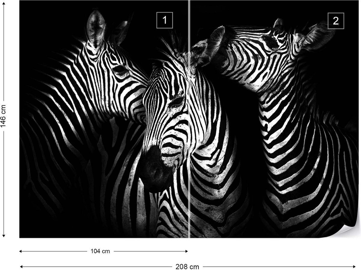 Fotobehangkoning - Behang - Fotobehang - Zebra - Zebra's - Vliesbehang ...