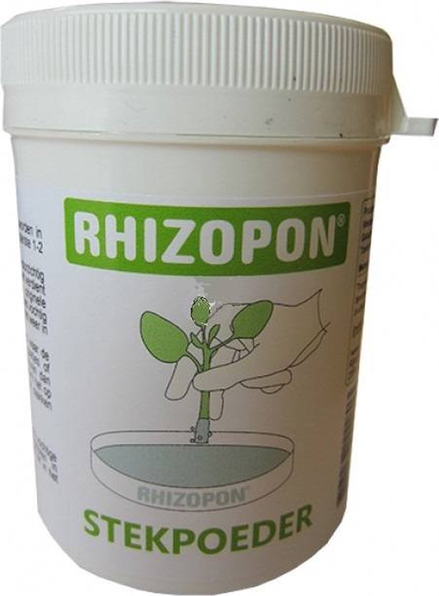 RHIZOPON CHRYZOTOP GROEN 0.25% 20 GRAM | bol.com