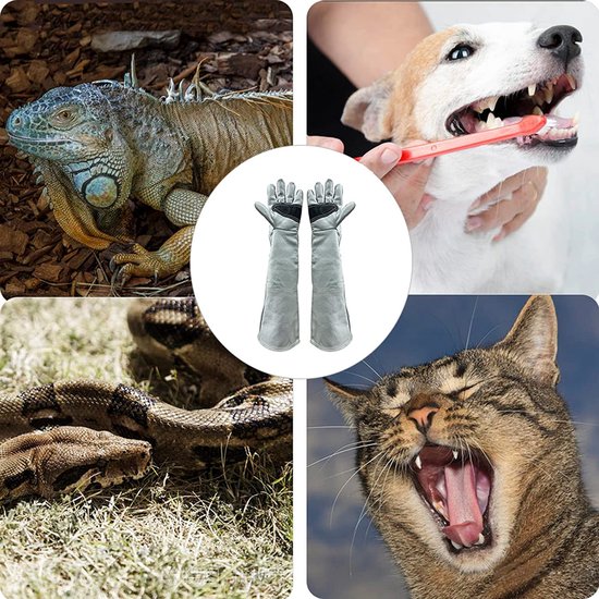 Resistente handschoenen voor het hanteren van dieren, 60 cm anti ...