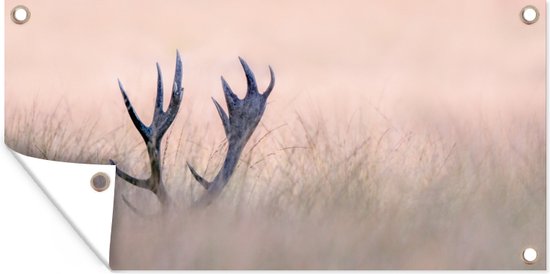 Tuinposter Gewei - Hert - Gras - Natuur - 60x30 cm - Tuindoek ...