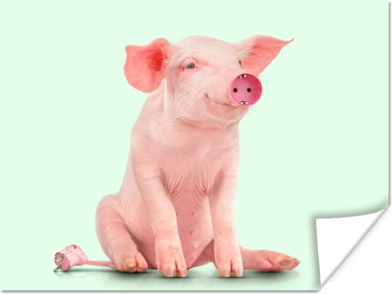Poster Varken - Roze - Stopcontact - Dieren - 80x60 cm | bol
